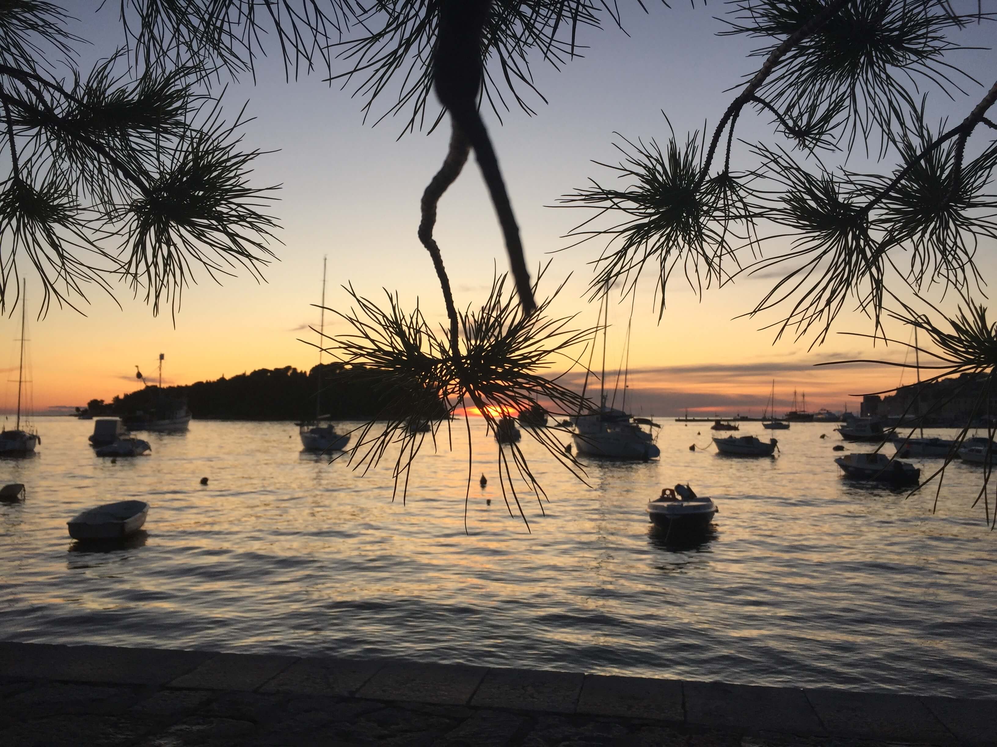 retirement picture – Feet First Reflexology